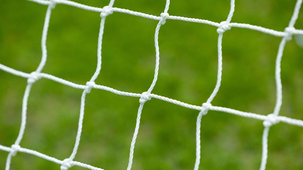 Store Team Leader | Jobs at Celtic FC